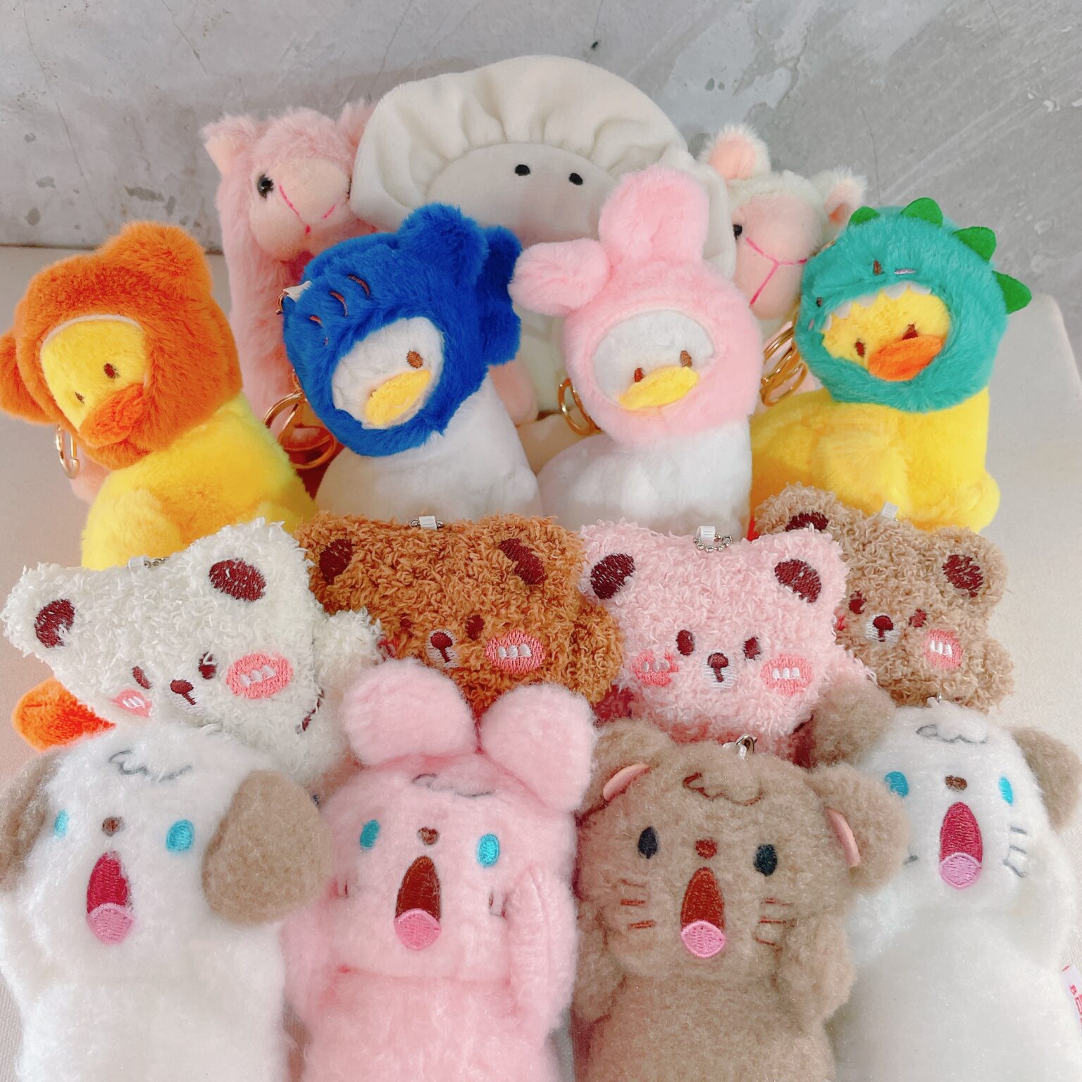 SpringStar – SpringStar